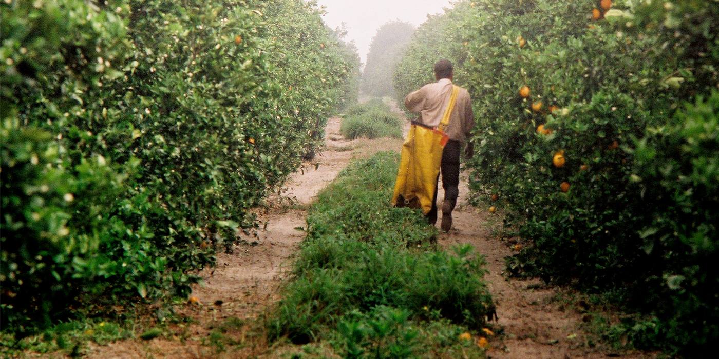 Gleaning away hunger - Catholic Charities USA