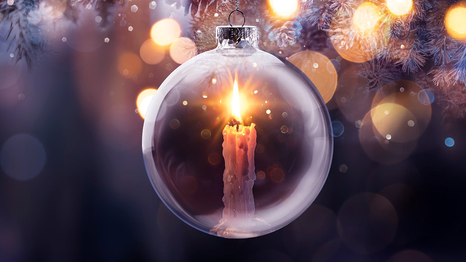Testifying to the light - Catholic Charities USA